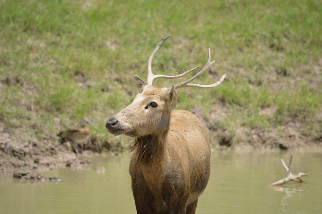 Fragile Planet Wildlife Park
