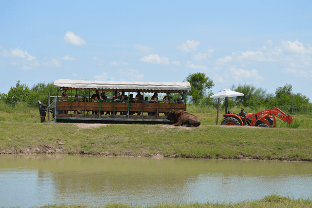 Fragile Planet Wildlife Park