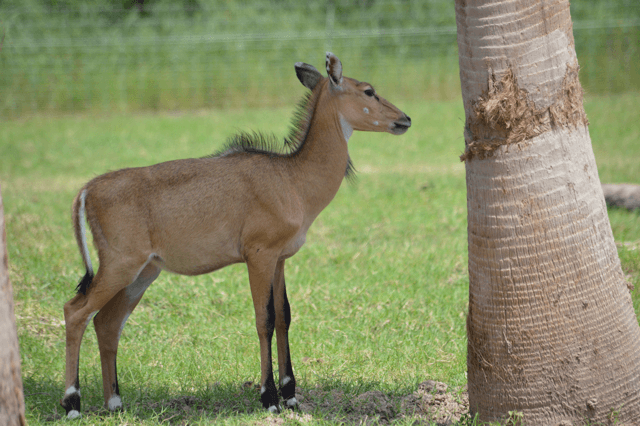 Fragile Planet Wildlife Park