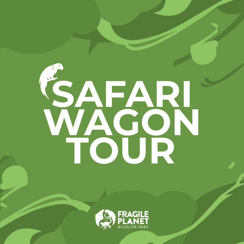 Fragile Planet Wildlife Park